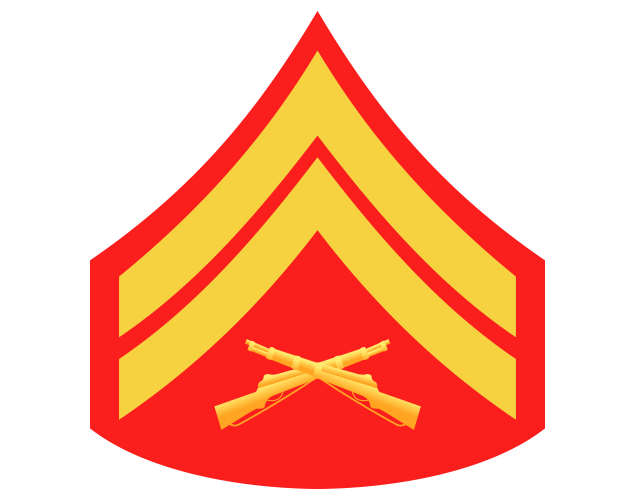 Marine Corps Ranks: A Complete Guide to Enlisted and Officer Ranks