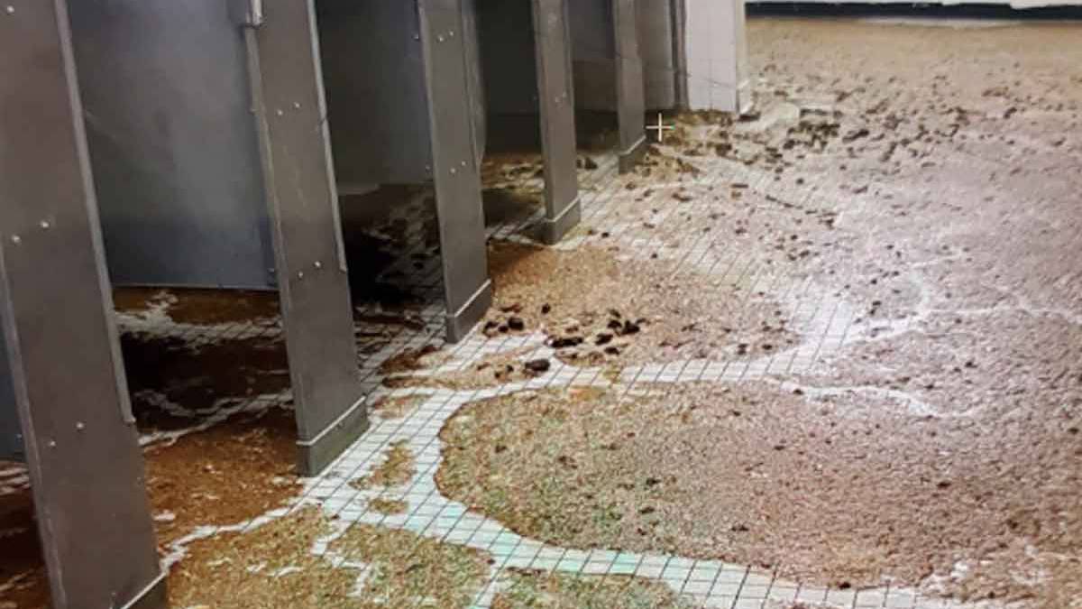 Bedbugs, Brown Water, Squatters: Military Barracks Blasted over Horrid ...