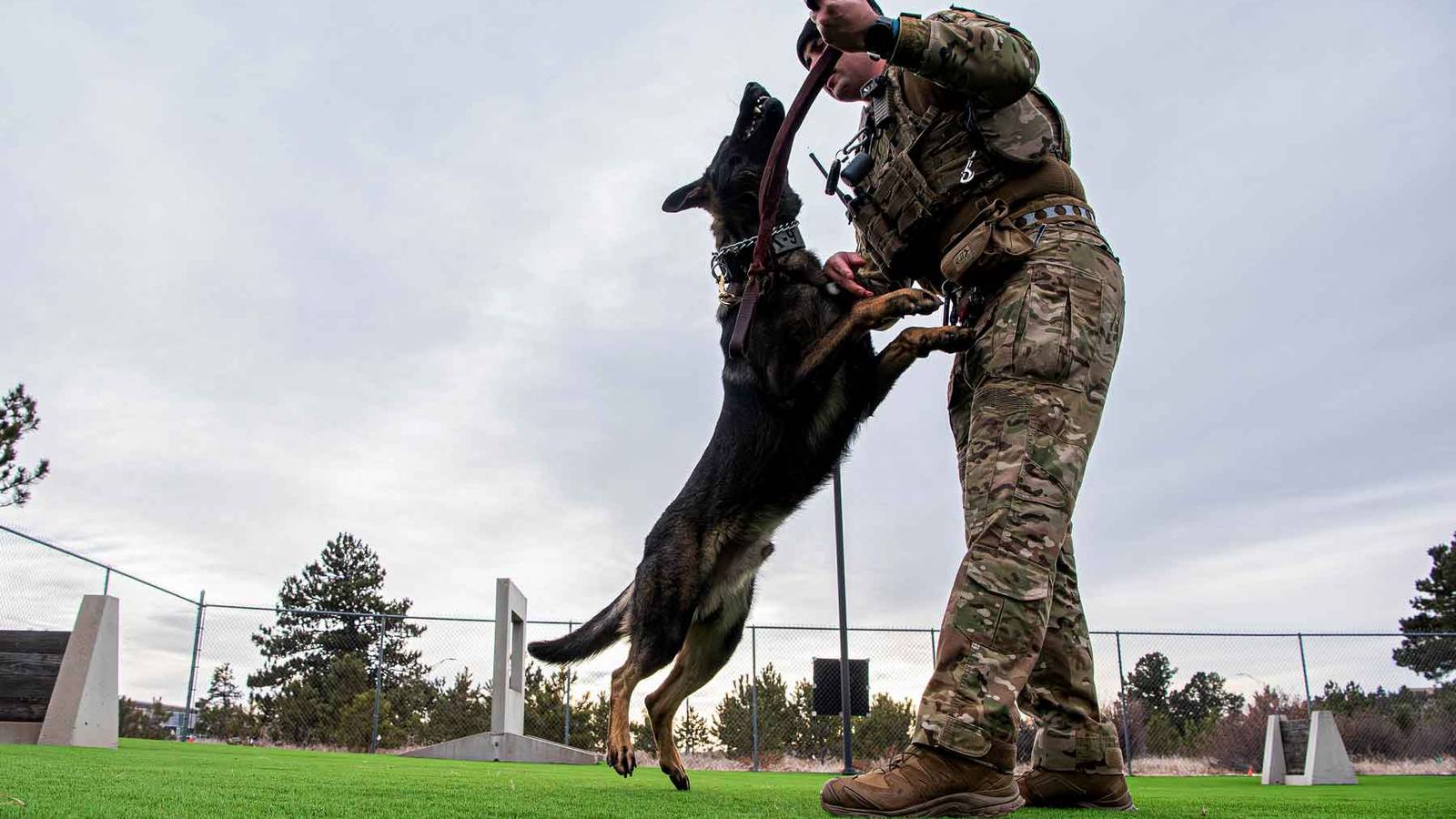 Here Are the 89 Highly Skilled Air Force Jobs Eligible for Retention ...