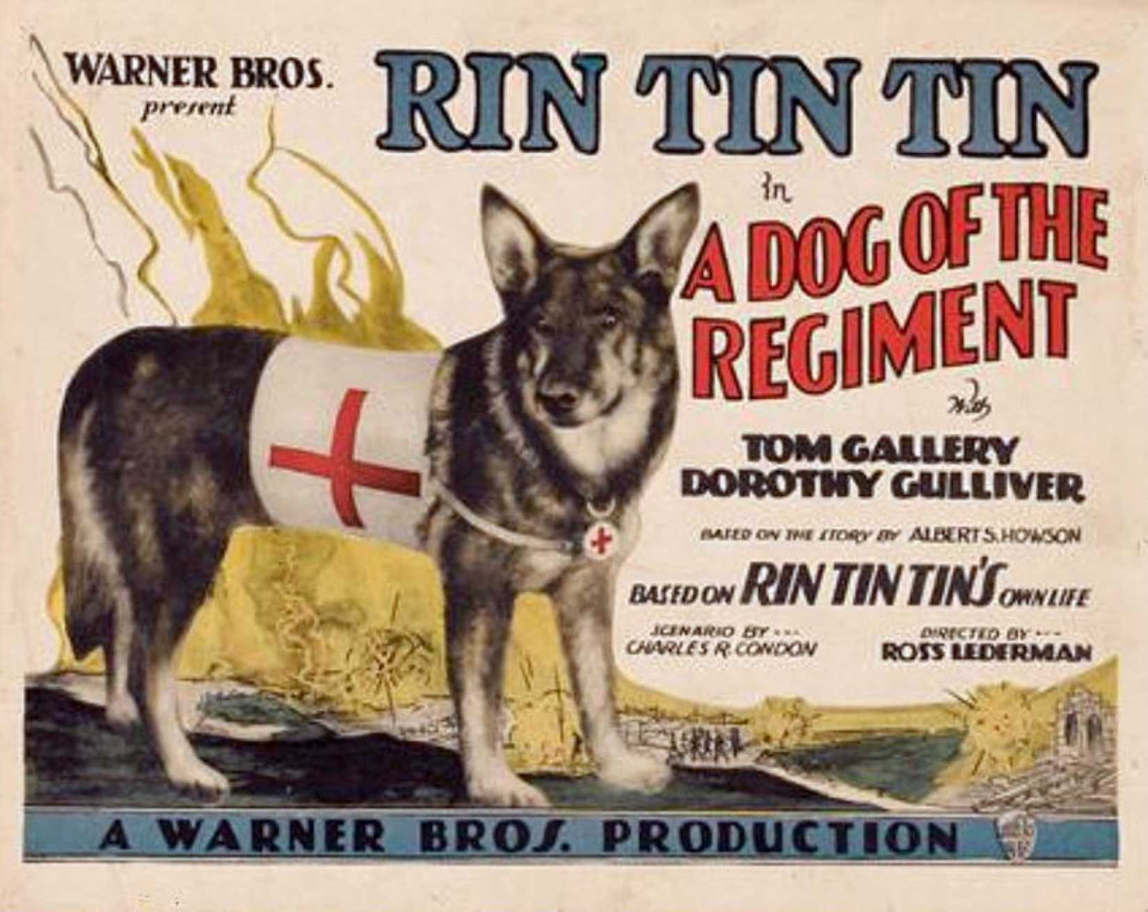 Rescued From a WWI Battlefield, This Dog Became Hollywood's Biggest ...