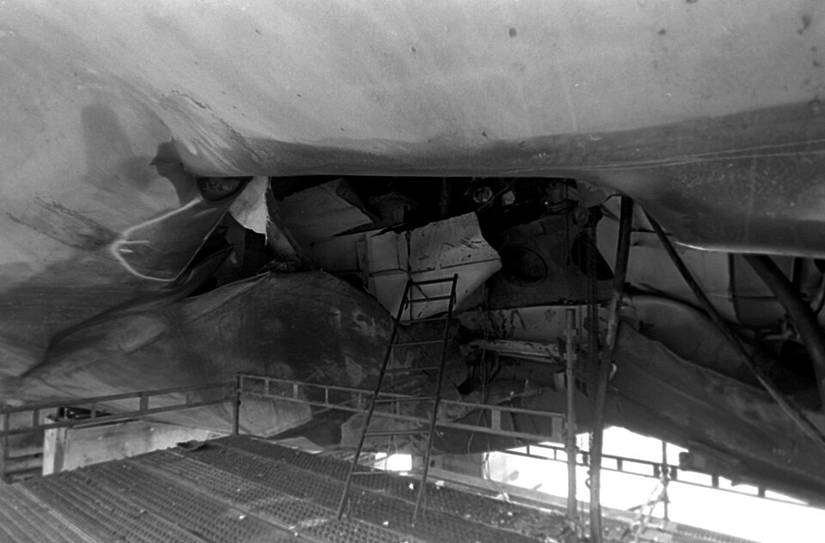 Operation Praying Mantis: That Time America Decimated Iran's Navy