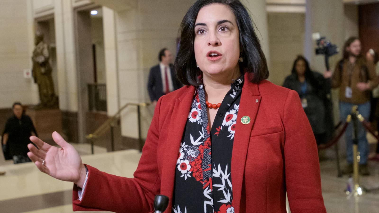 Congresswoman Calls for Treason Investigation Against Democrats Helping ...