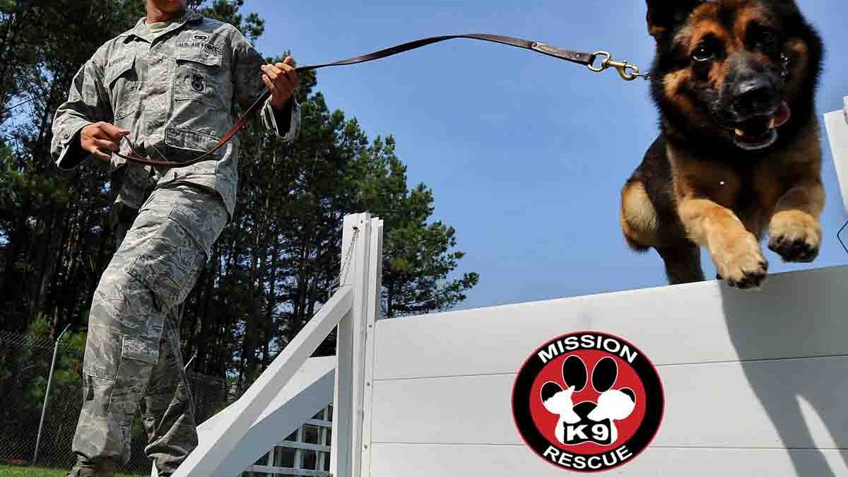 10 Lesser-Known Military Charities for Your Giving Tuesday Consideration