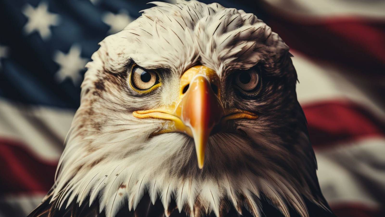 How Do Veterans Find a Leadership Job After the Military?