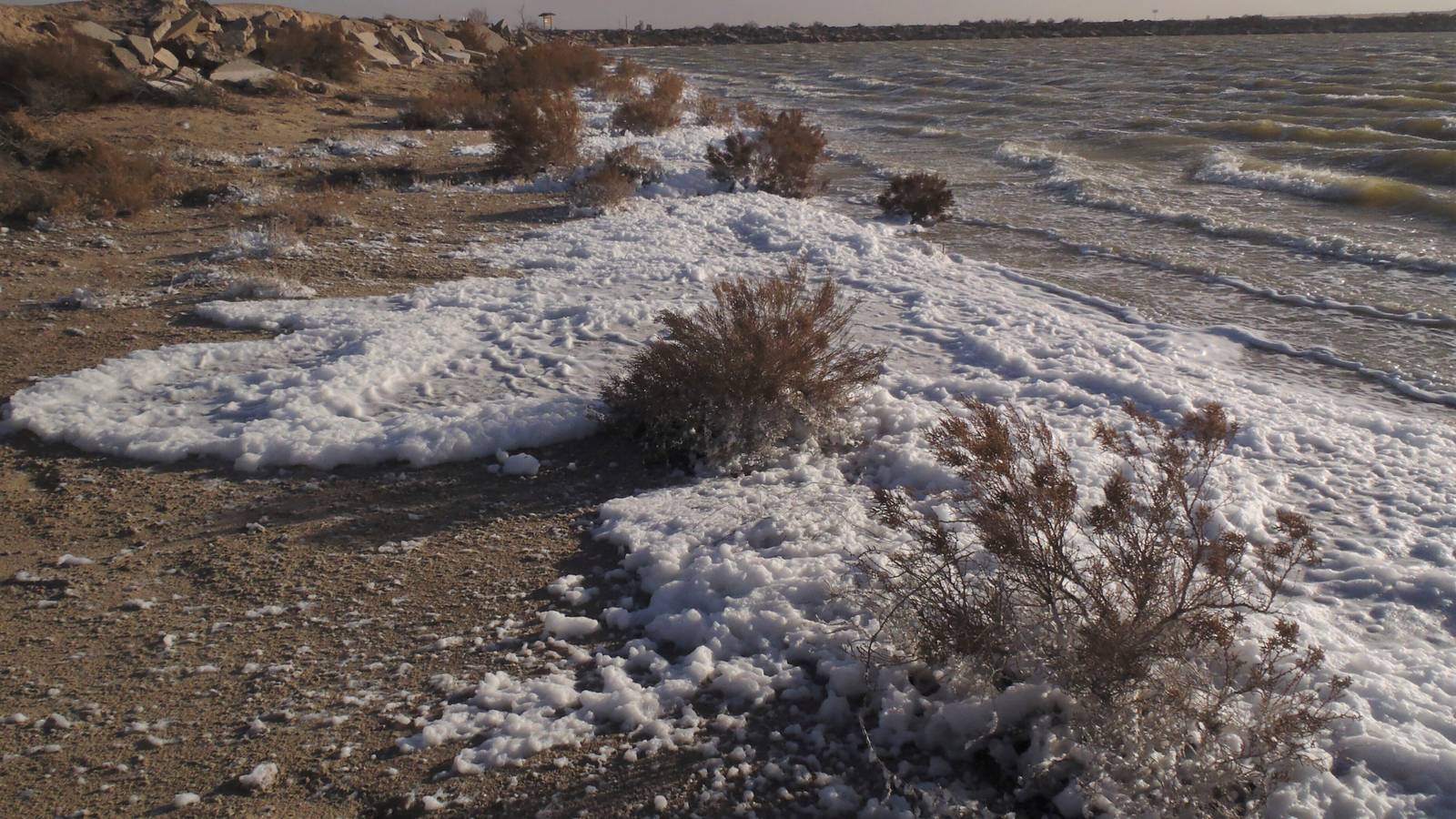 Record Levels of 'Forever Chemicals' Found in Wildlife near New Mexico ...