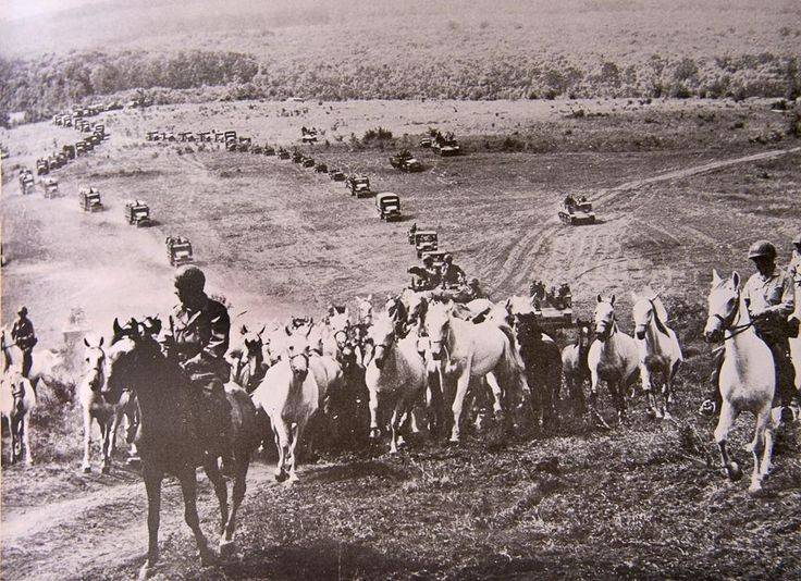 Operation Cowboy: When U.S. Cavalry and Germans Fought Together in WWII ...