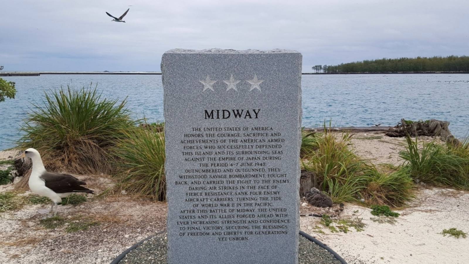 Their Sacrifice Won the Battle of Midway. A Marine Now Fights for Their ...