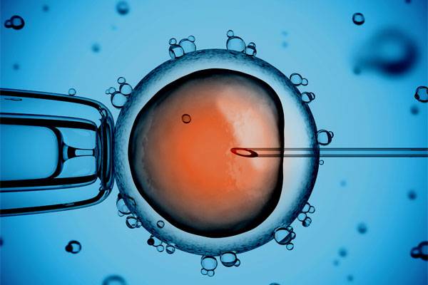 VA Now Offers IVF Treatment to Veterans